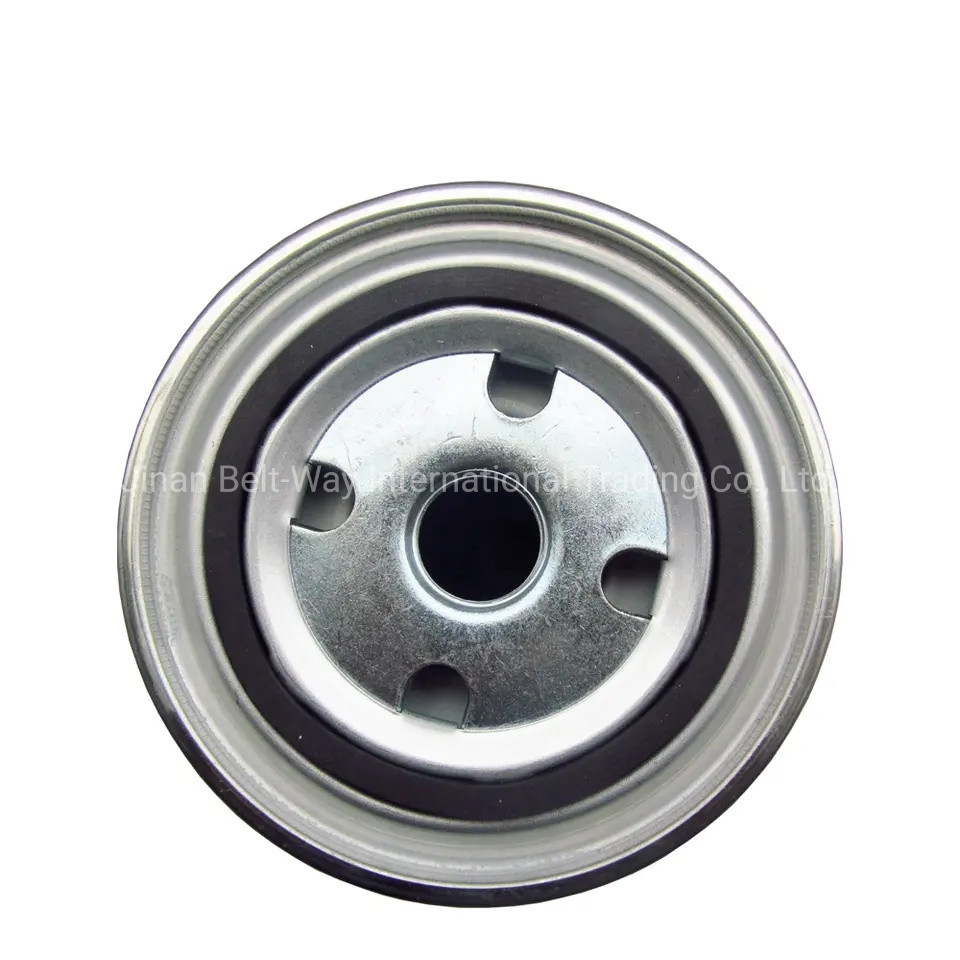 Sinotruk HOWO Truck Diesel Engine Fuel Filter Vg1560080012 with Battery